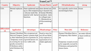 Artificial skin | PPT