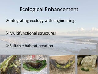 Artificial structures and ecological enhancement | PPT | Free Download