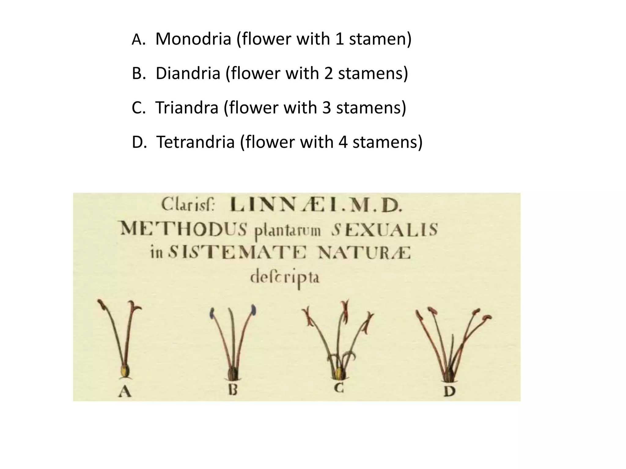 Artificial system of classification | PPTX