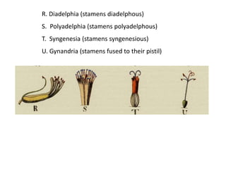 Artificial system of classification | PPTX