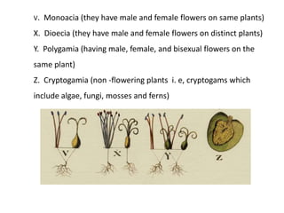 Artificial system of classification | PPTX