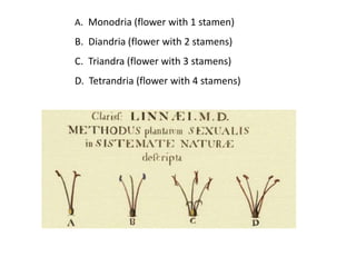 Artificial system of classification | PPTX
