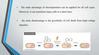 Artificial Transformation Methodologies | PPTX