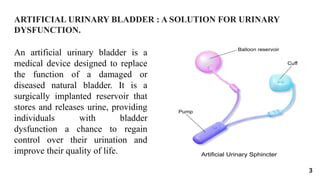 ARTIFICIAL URINARY BLADDER innovation.pptx