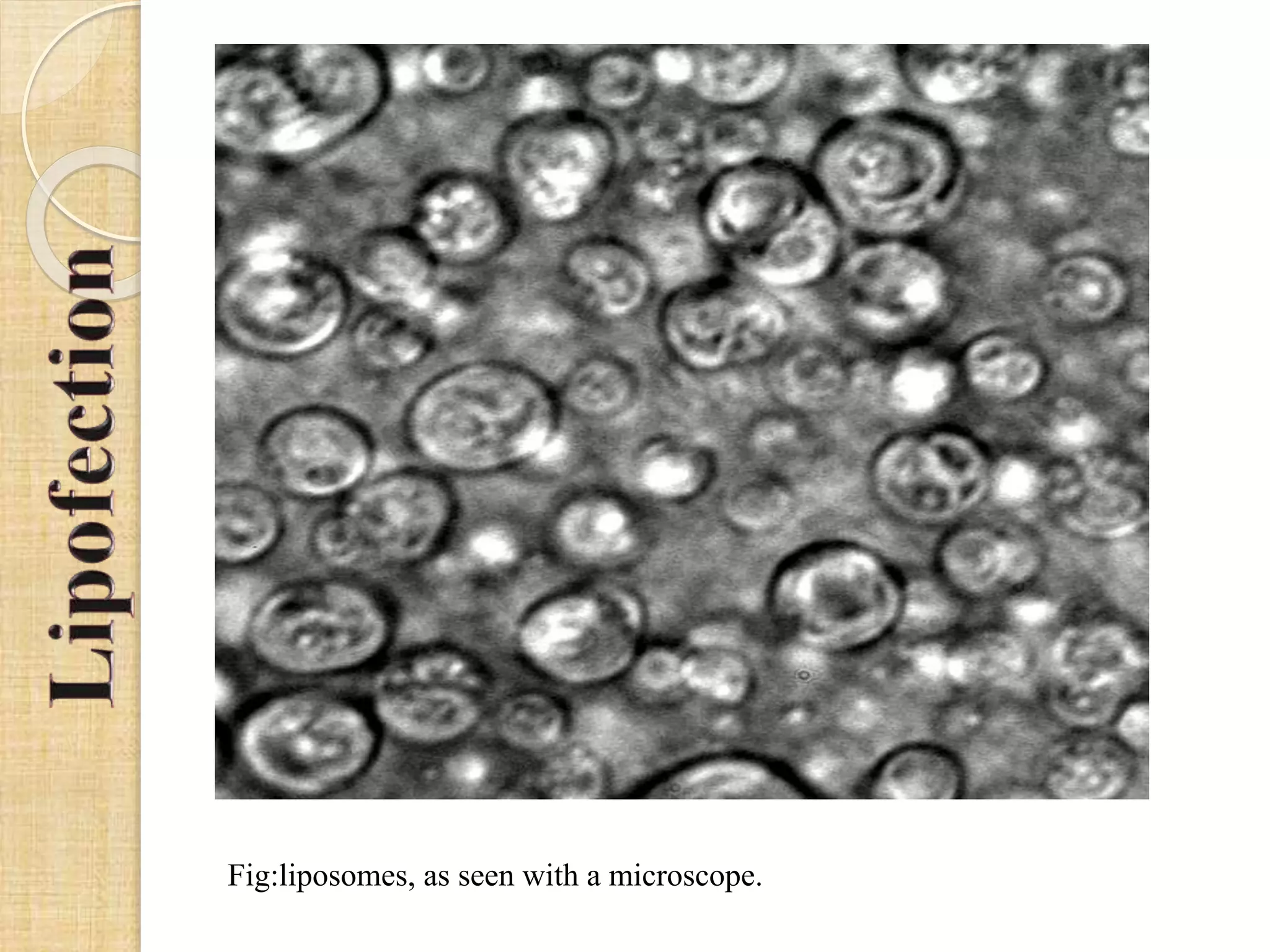 ARTIFICIAL VECTORLESS GENE TRANSFER METHODS | PPTX