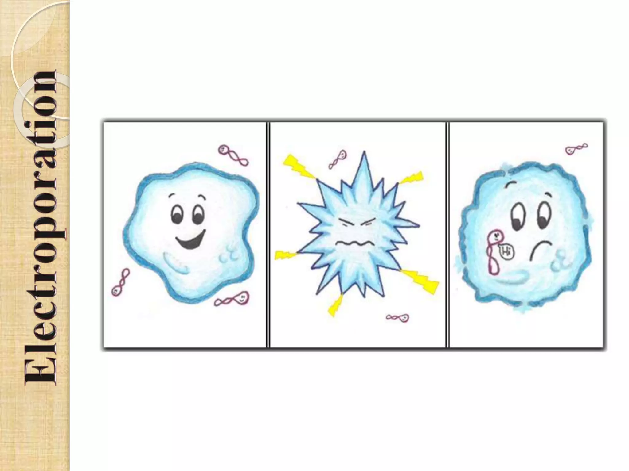 ARTIFICIAL VECTORLESS GENE TRANSFER METHODS | PPTX