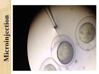 ARTIFICIAL VECTORLESS GENE TRANSFER METHODS | PPTX