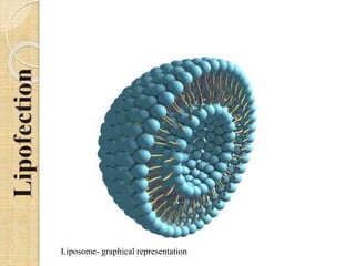 ARTIFICIAL VECTORLESS GENE TRANSFER METHODS | PPTX