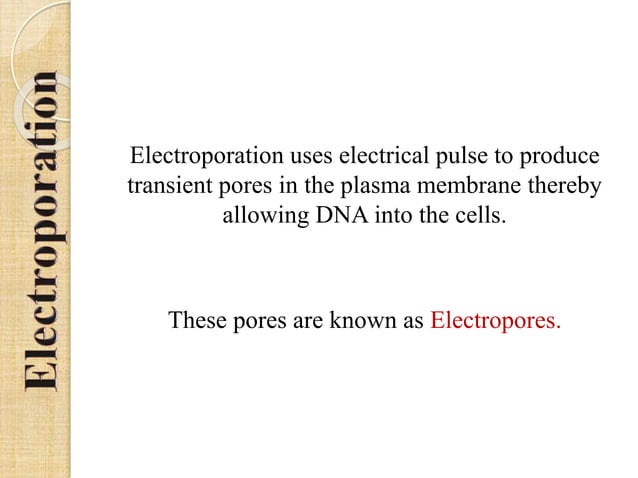 ARTIFICIAL VECTORLESS GENE TRANSFER METHODS | PPTX | Chemistry | Science