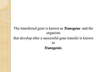 ARTIFICIAL VECTORLESS GENE TRANSFER METHODS | PPTX