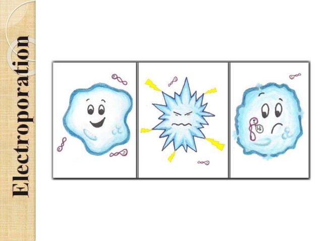 ARTIFICIAL VECTORLESS GENE TRANSFER METHODS | PPTX | Chemistry | Science