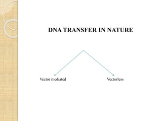 ARTIFICIAL VECTORLESS GENE TRANSFER METHODS | PPTX