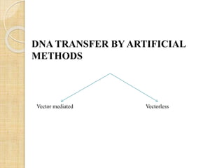 ARTIFICIAL VECTORLESS GENE TRANSFER METHODS | PPTX