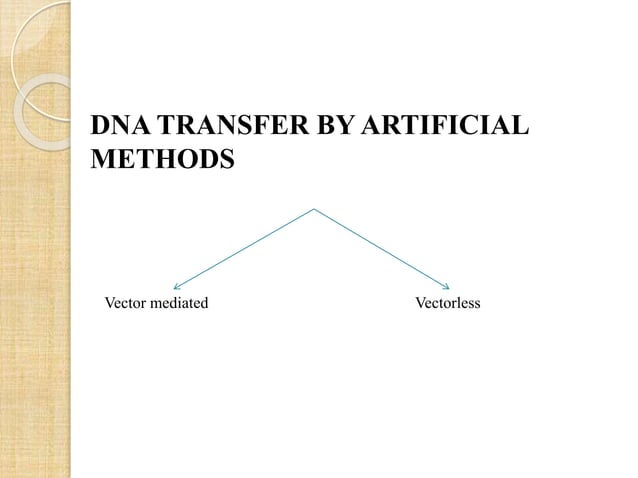 ARTIFICIAL VECTORLESS GENE TRANSFER METHODS | PPTX | Chemistry | Science