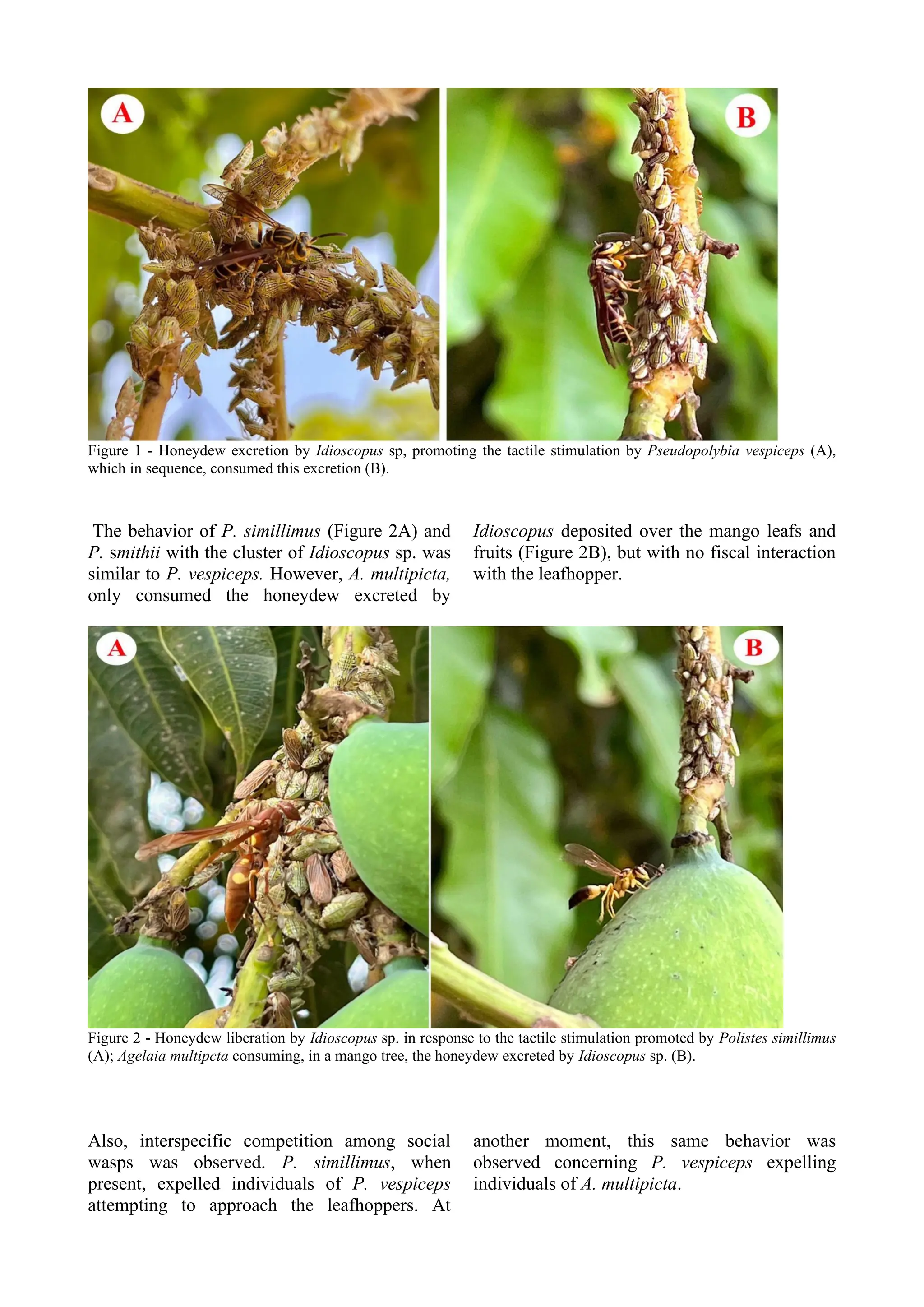 REVISTA DE BIOLOGIA E CIÊNCIAS DA TERRA ISSN 1519-5228 - Artigo ...
