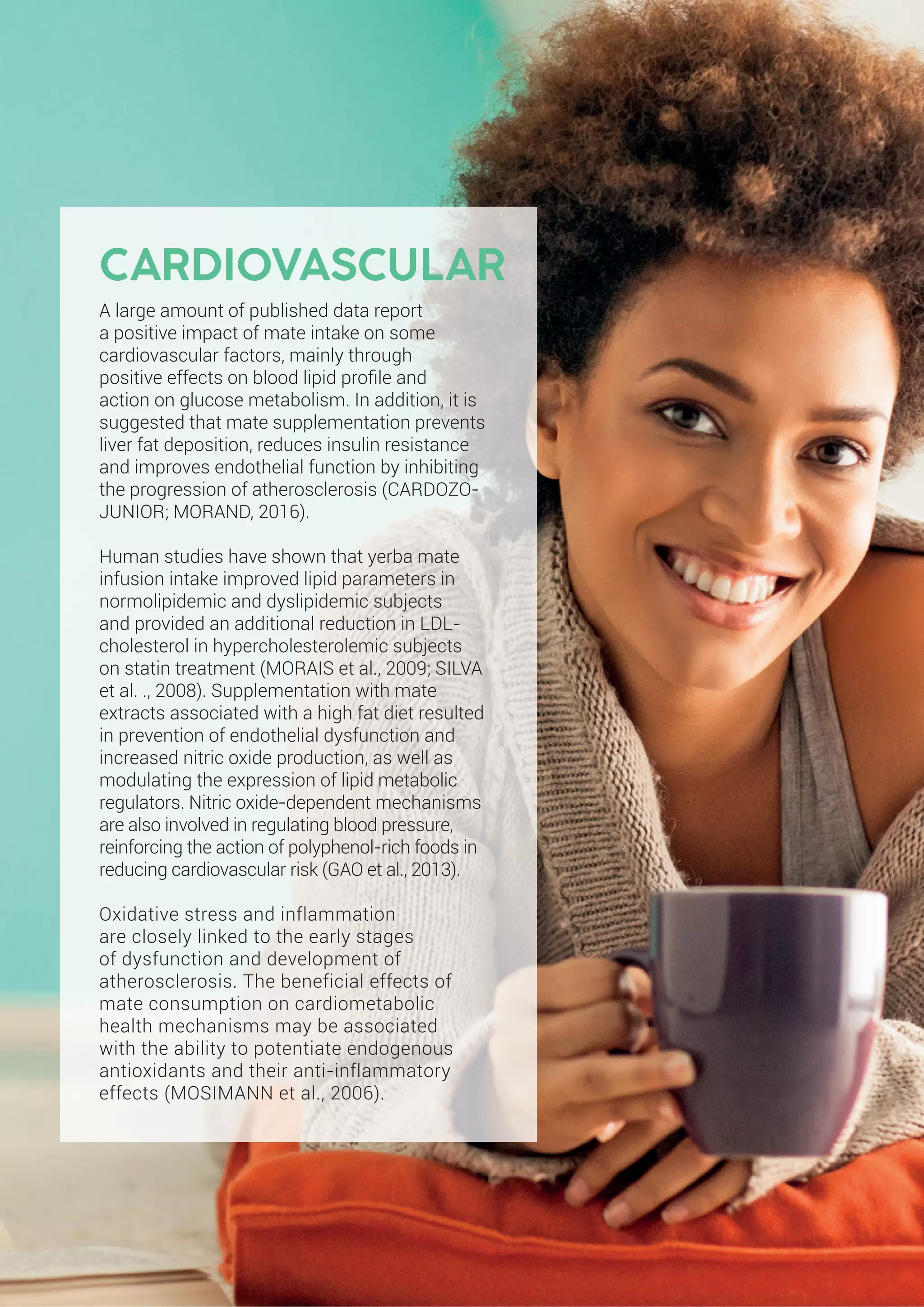 Yerba Mate | Duas Rodas Flavors & Botanicals | PDF