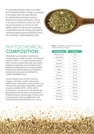 Yerba Mate | Duas Rodas Flavors & Botanicals | PDF