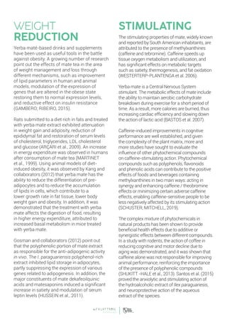 Yerba Mate | Duas Rodas Flavors & Botanicals | PDF | Food & Drink