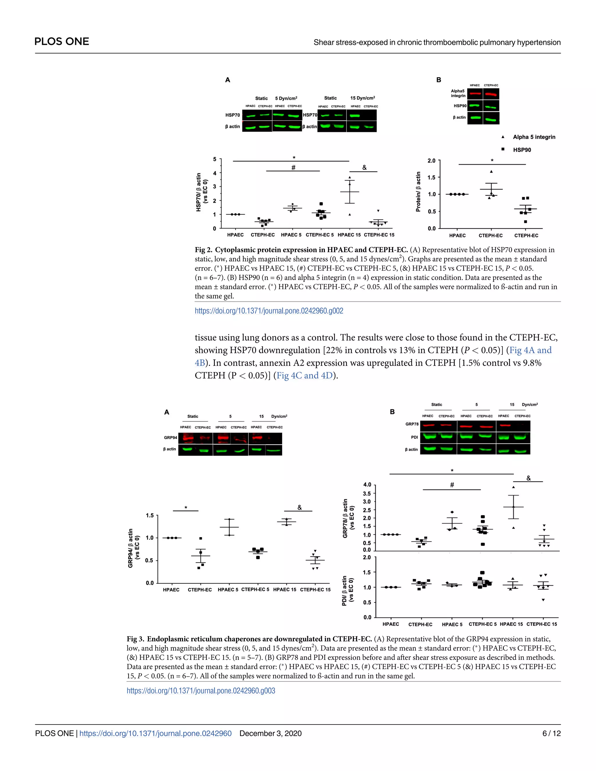 Shear stress-exposed pulmonary artery endothelial cells fail to ...