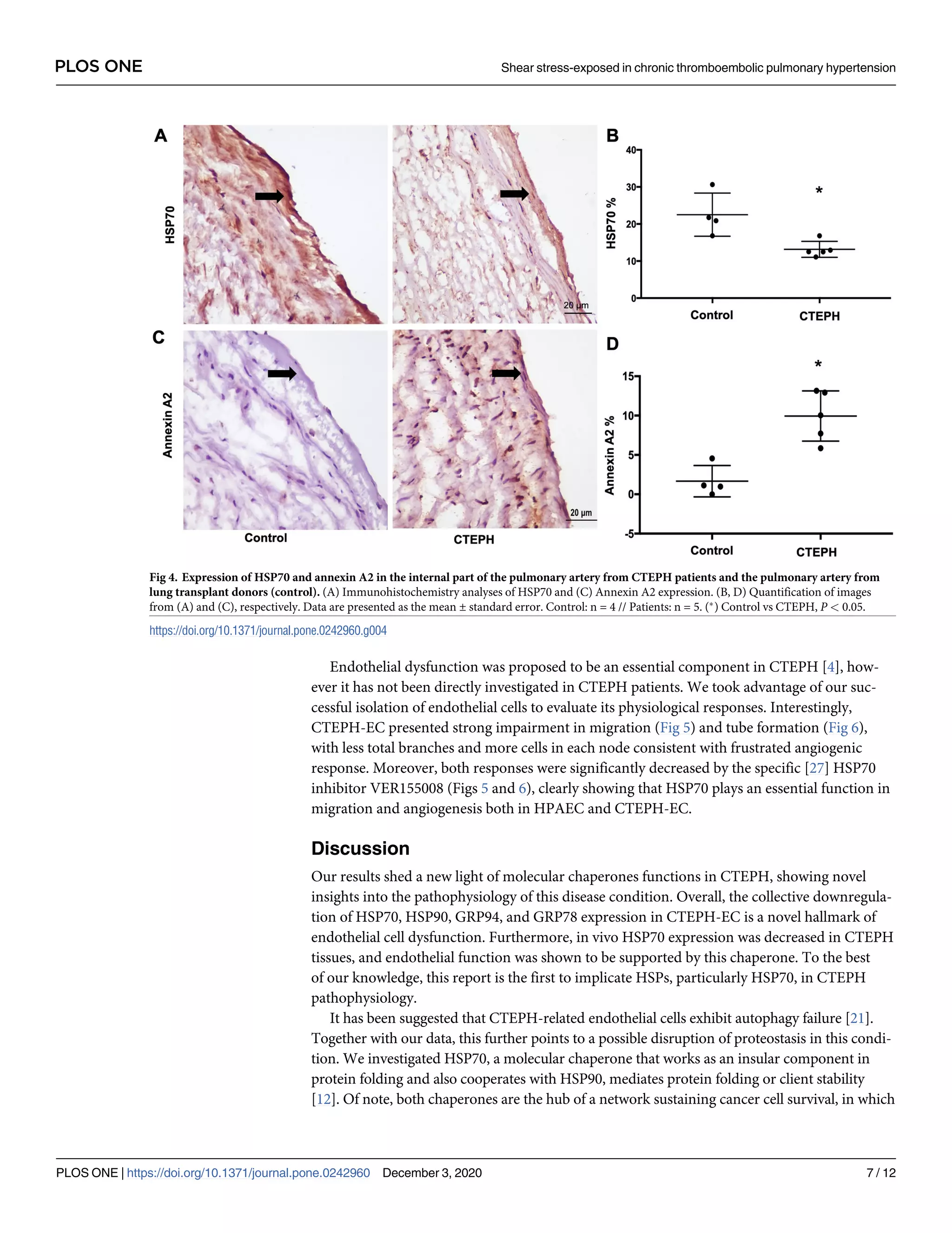 Shear stress-exposed pulmonary artery endothelial cells fail to ...
