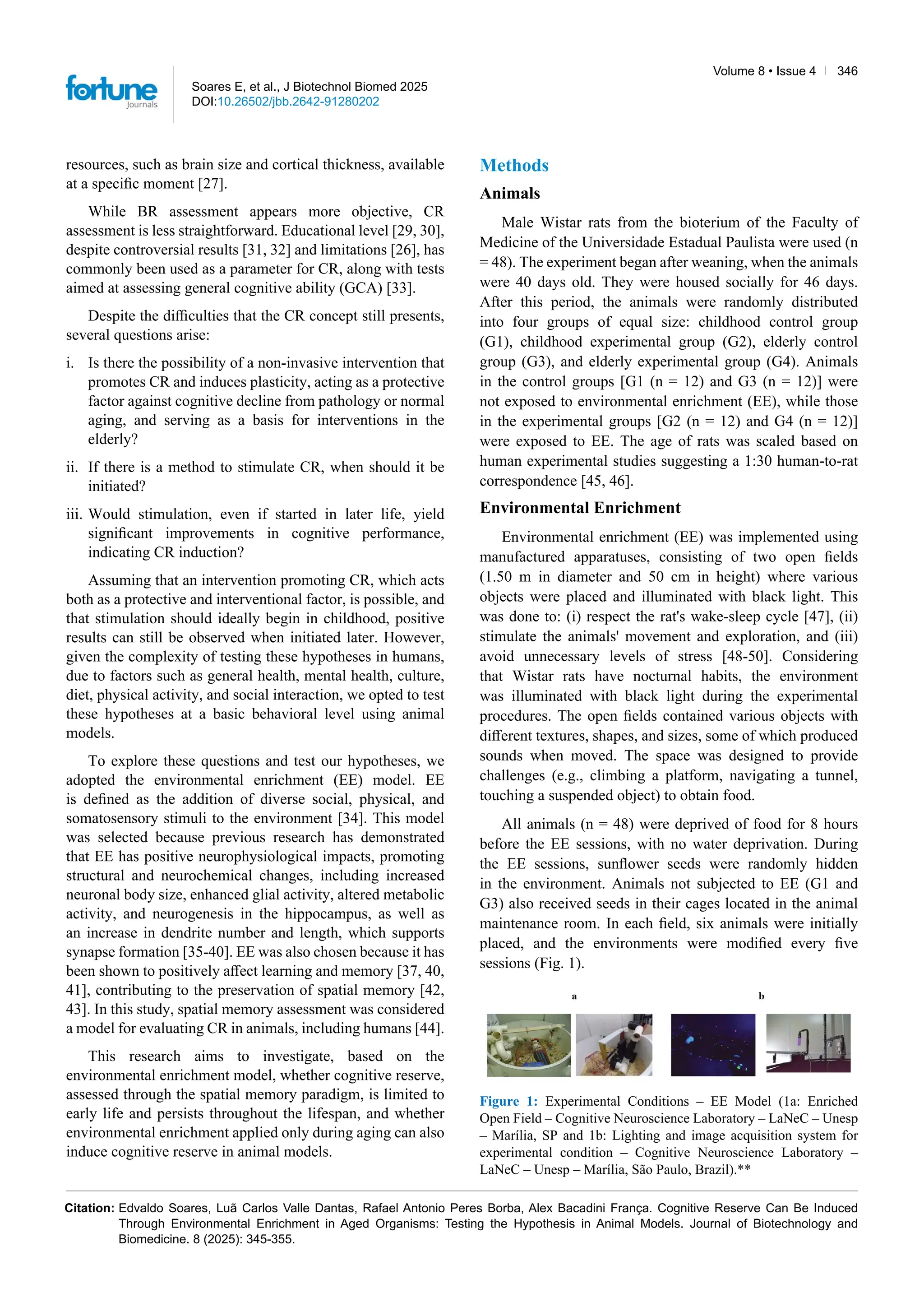Cognitive Reserve Can Be Induced Through Environmental Enrichment in ...