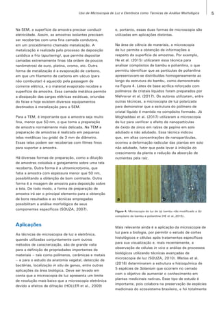 Artigo sobre Microscopia seu uso e a forma aplicada | PDF
