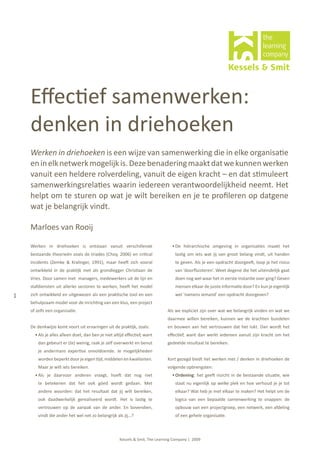 Artikel 2009 effectief samenwerken | PDF