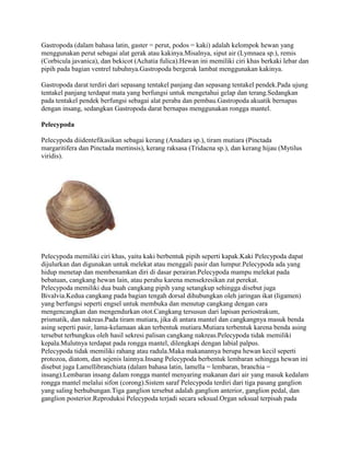Artikel fhylum mollusca | PDF