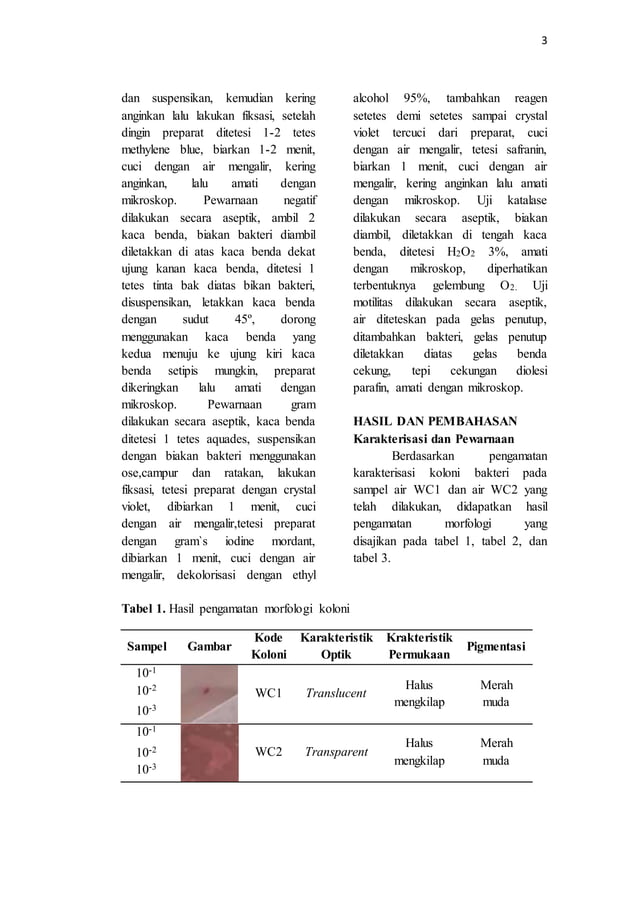 Artikel Ilmiah: Isolasi dan Karakterisasi Bakteri Water Closet (WC) | DOCX
