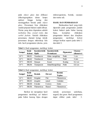 Artikel Ilmiah: Isolasi dan Karakterisasi Bakteri Bubur Kacang Hijau | DOCX