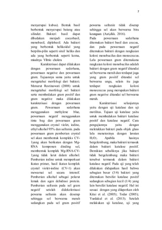 Artikel Ilmiah: Isolasi dan Karakterisasi Bakteri Bubur Kacang Hijau | DOCX