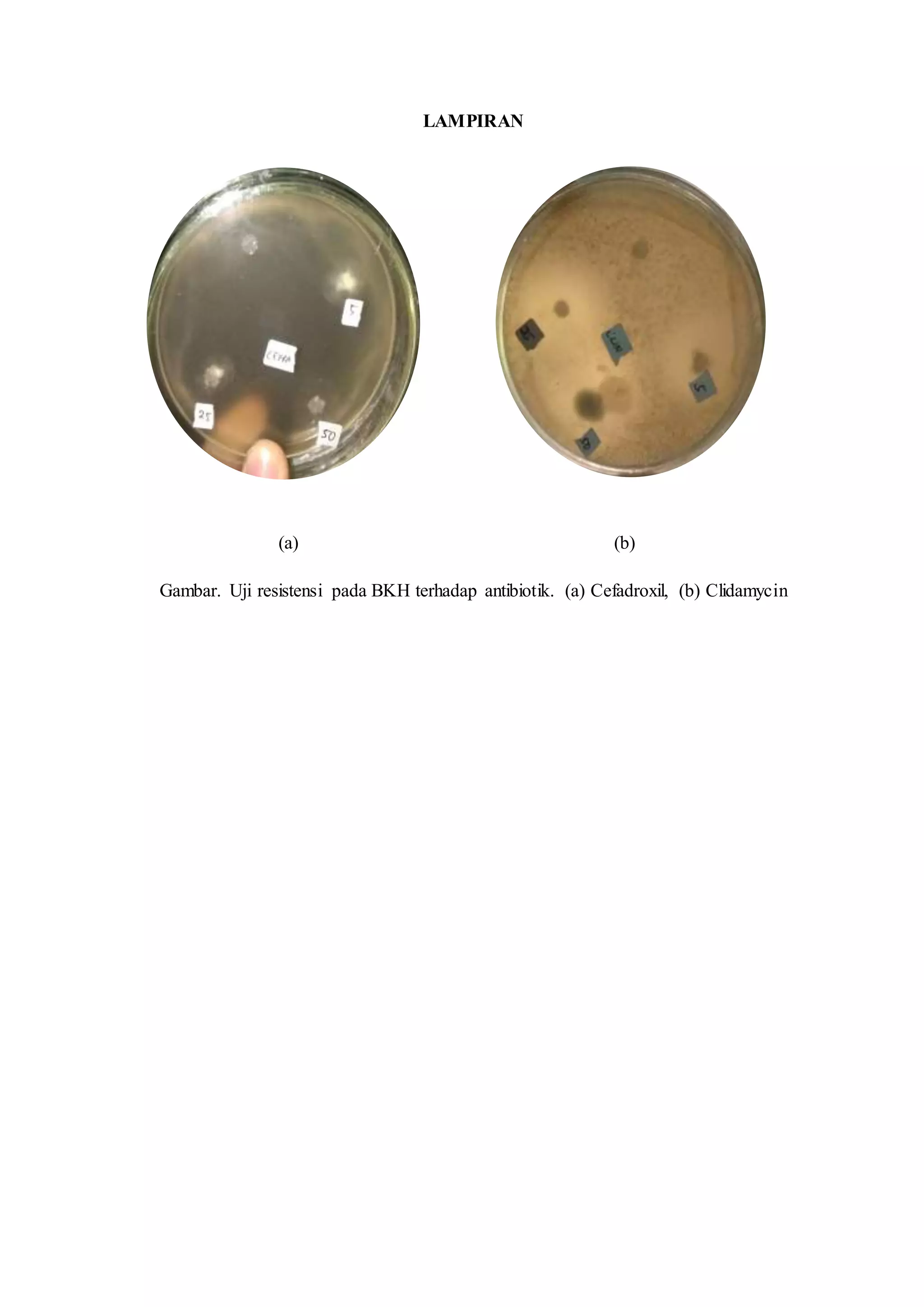 Artikel Ilmiah: Uji Resistensi Bakteri Pada Bubur Kacang Hijau Terhadap ...