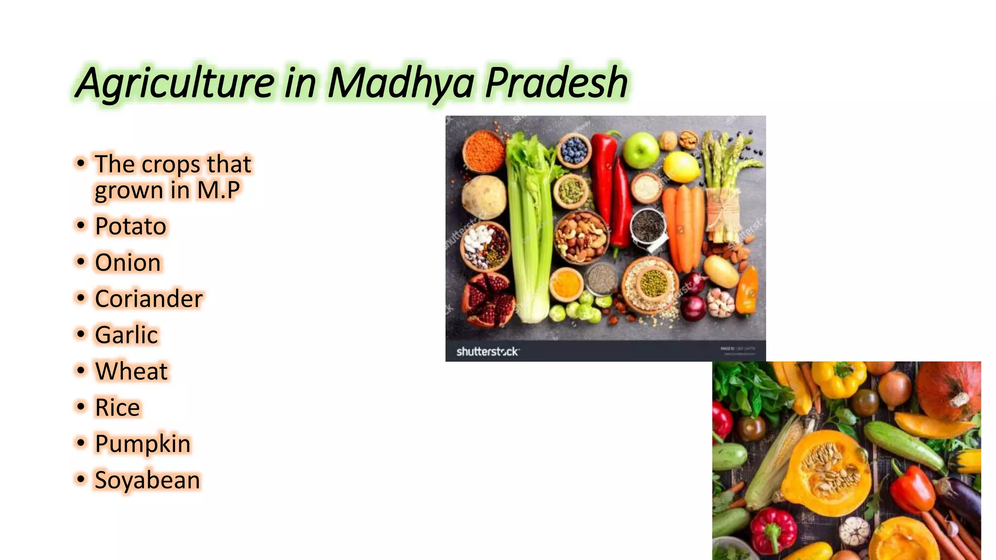 Art Integrated Project of Madhya pradesh | PPTX