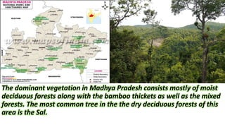 Art Integrated Project of Madhya pradesh | PPTX