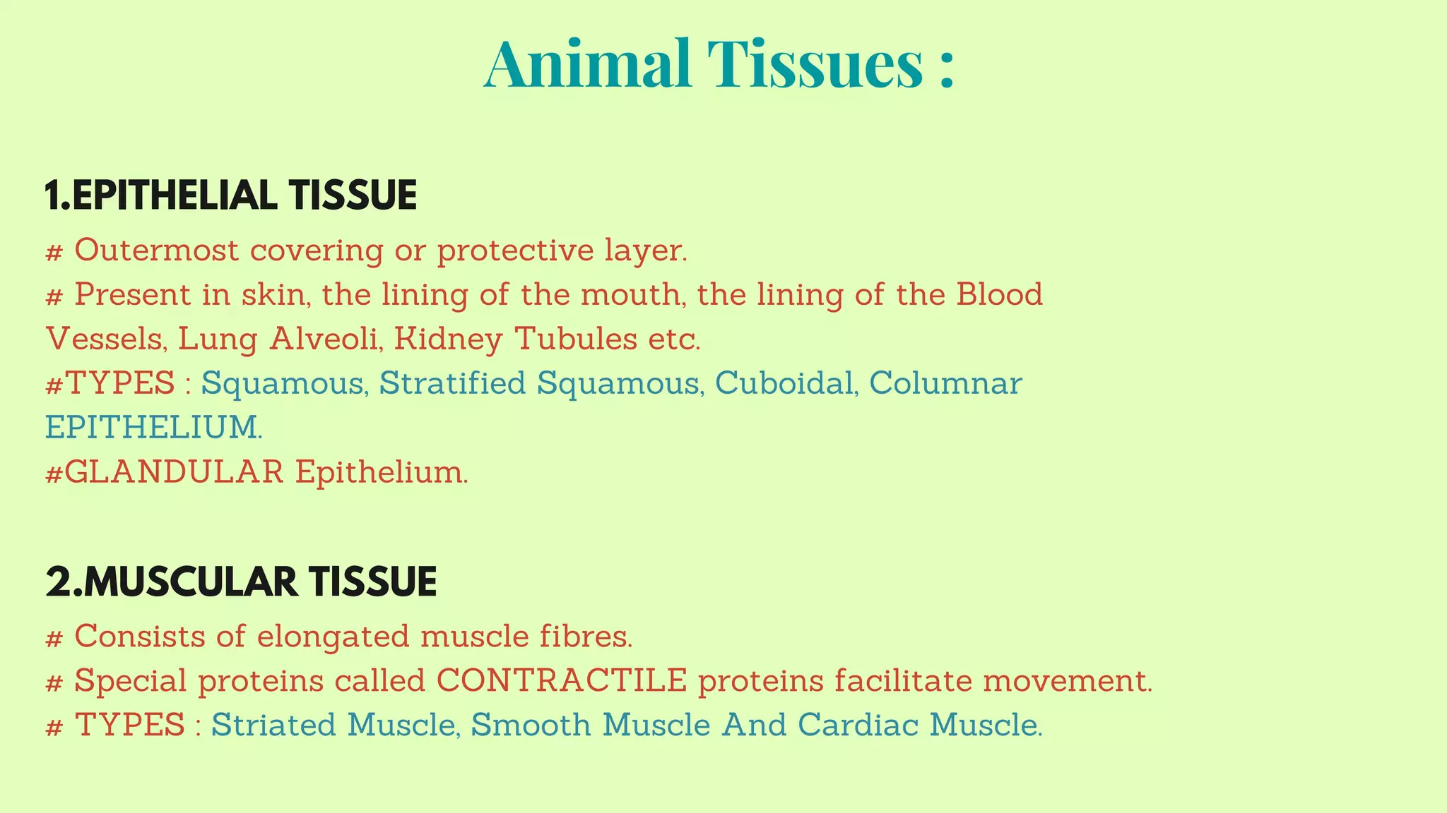 Art integration, Animal tissue | PDF