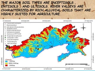 art integration project anshika mishra (3).pptx