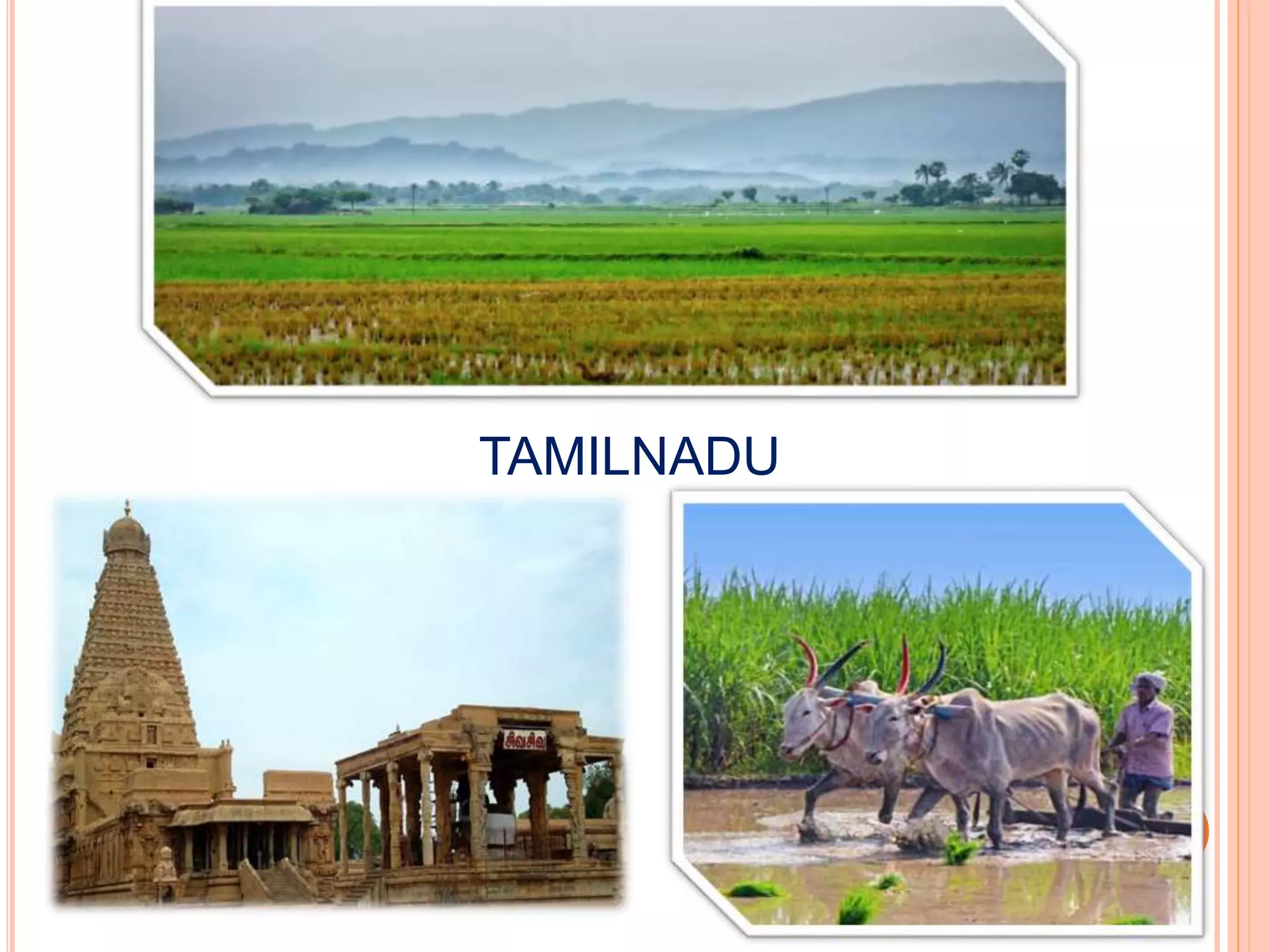 Art integration project between tamilnadu and j&k.pptx