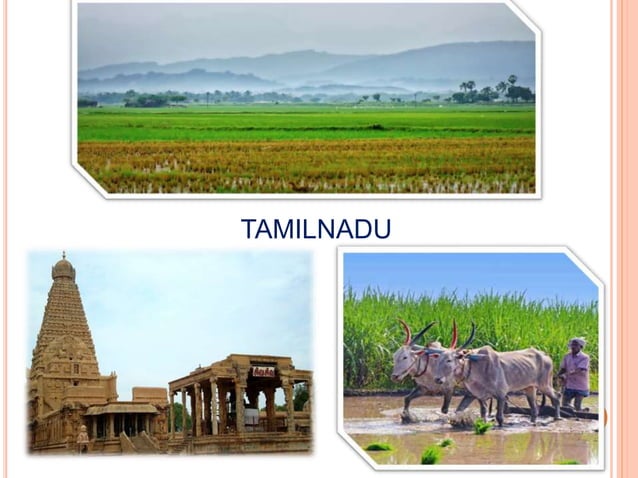 Art integration project between tamilnadu and j&k.pptx