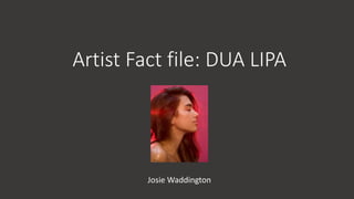 Artist Fact File | PPTX | Contemporary Hits/Pop/Top 40 | Music