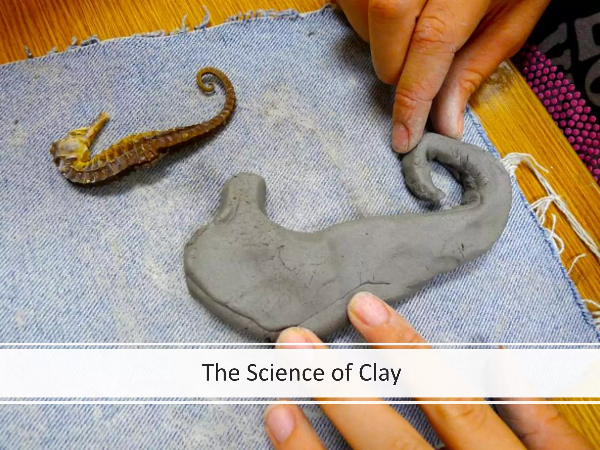 Art is the Heart of STEAM | PPTX