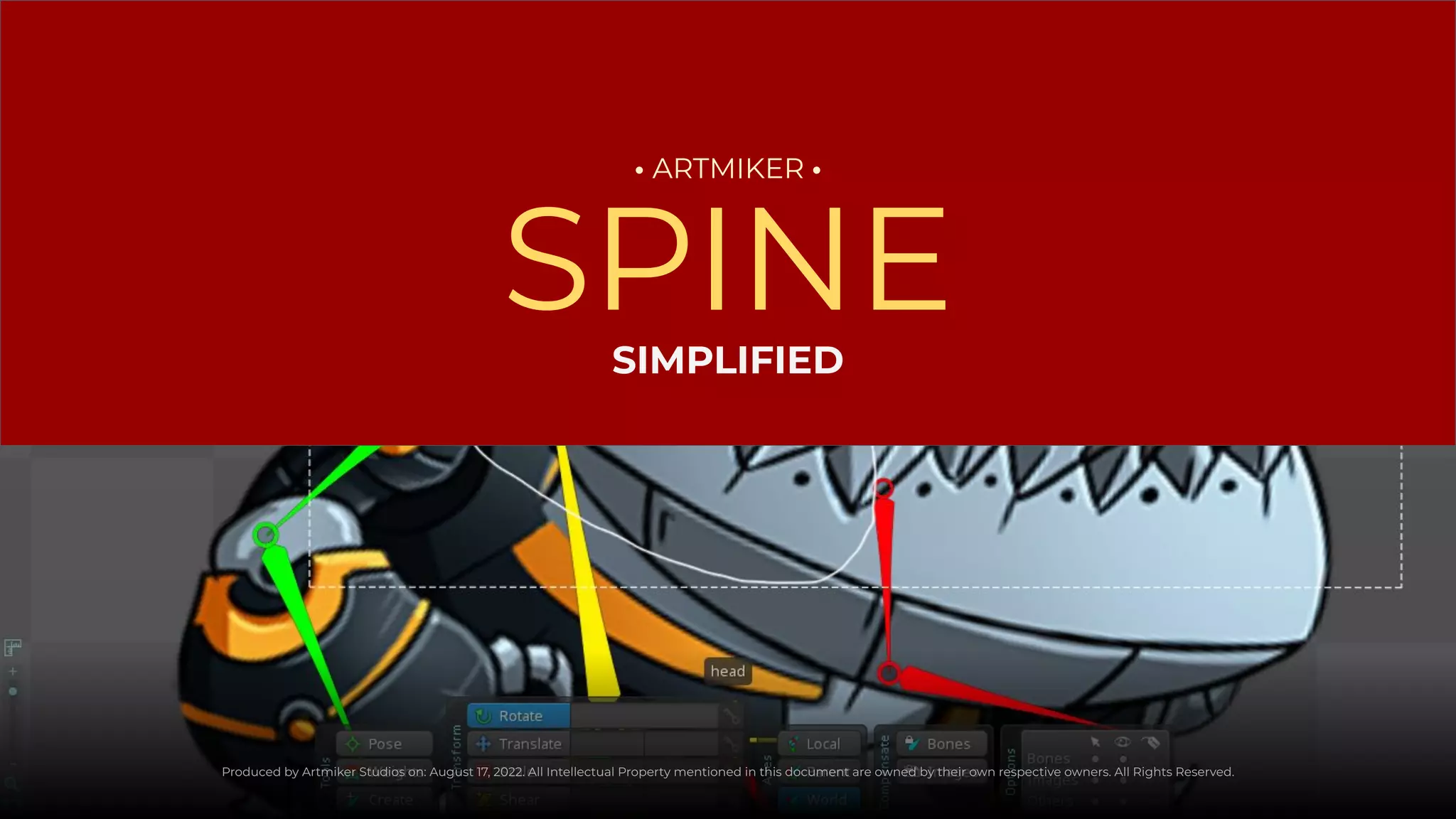 Spine Simplified | PDF