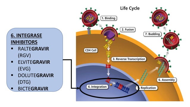ART & NACO GUIDELINES for treatment of hiv | PPTX | Chemistry | Science