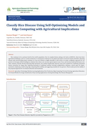 Classify Rice Disease Using Self-Optimizing Models and Edge Computing ...