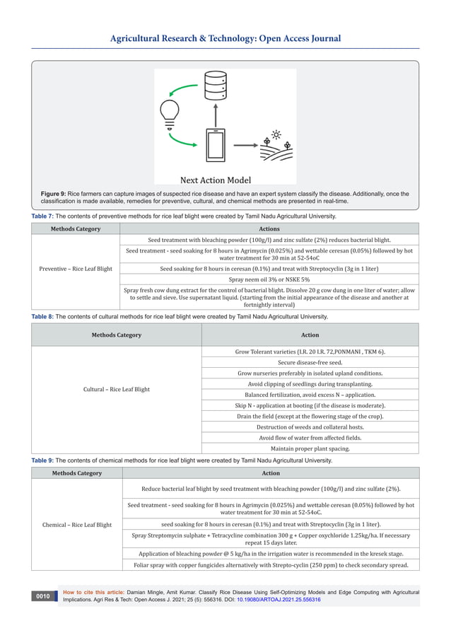 Classify Rice Disease Using Self-Optimizing Models and Edge Computing with Agricultural ...