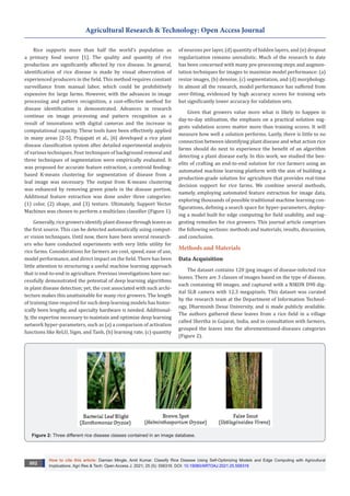 Classify Rice Disease Using Self-Optimizing Models and Edge Computing ...