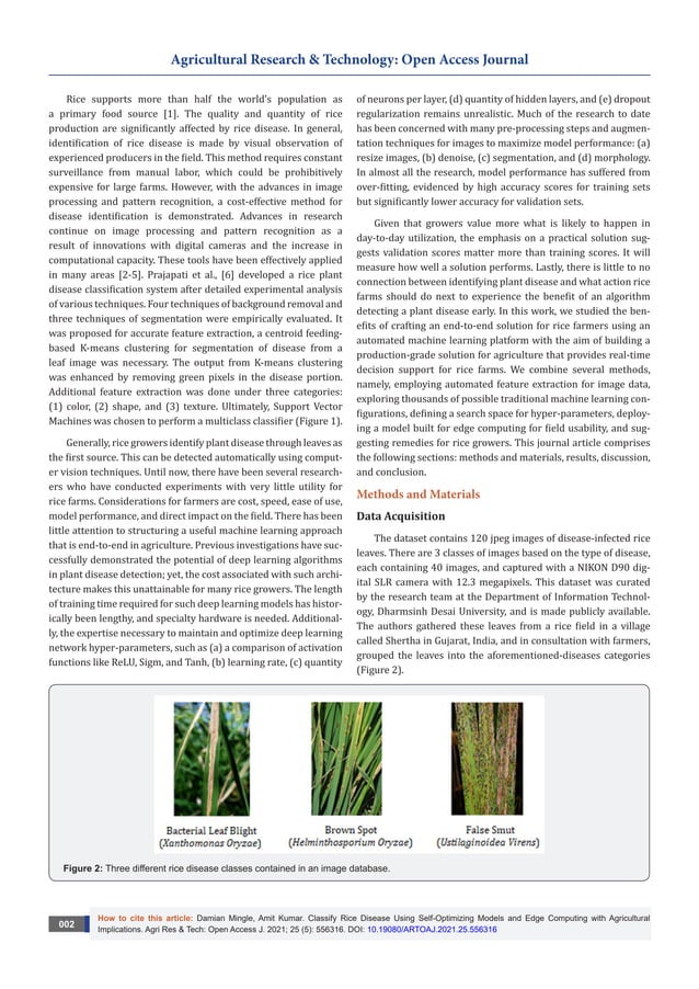 Classify Rice Disease Using Self-Optimizing Models and Edge Computing with Agricultural ...