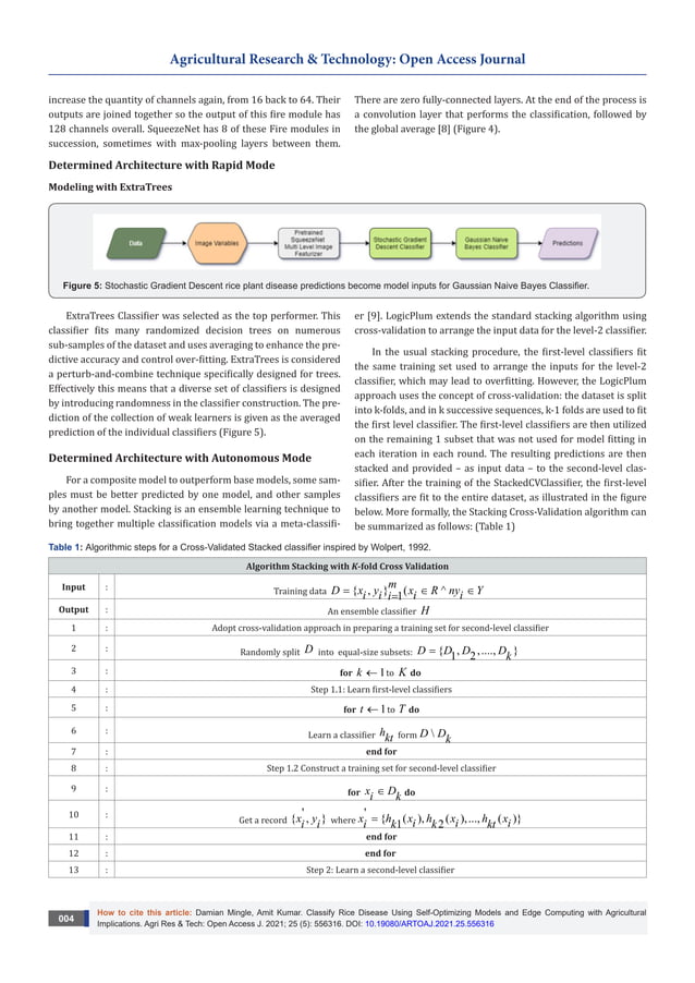 Classify Rice Disease Using Self-Optimizing Models and Edge Computing with Agricultural ...