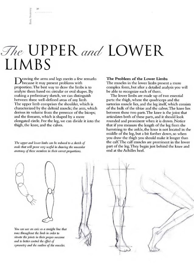 Art of Drawing the Human Body | PDF