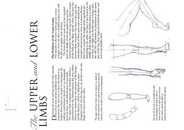 Art of Drawing The Human Body pdf.pdf | Drawing and Sketching | Arts ...