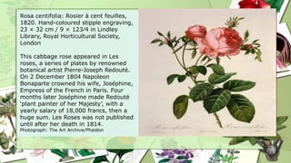 Art of flowers | PPTX